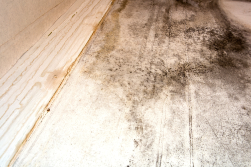 Reliable Water, Fire, & Mold Restoration | BoneDri
